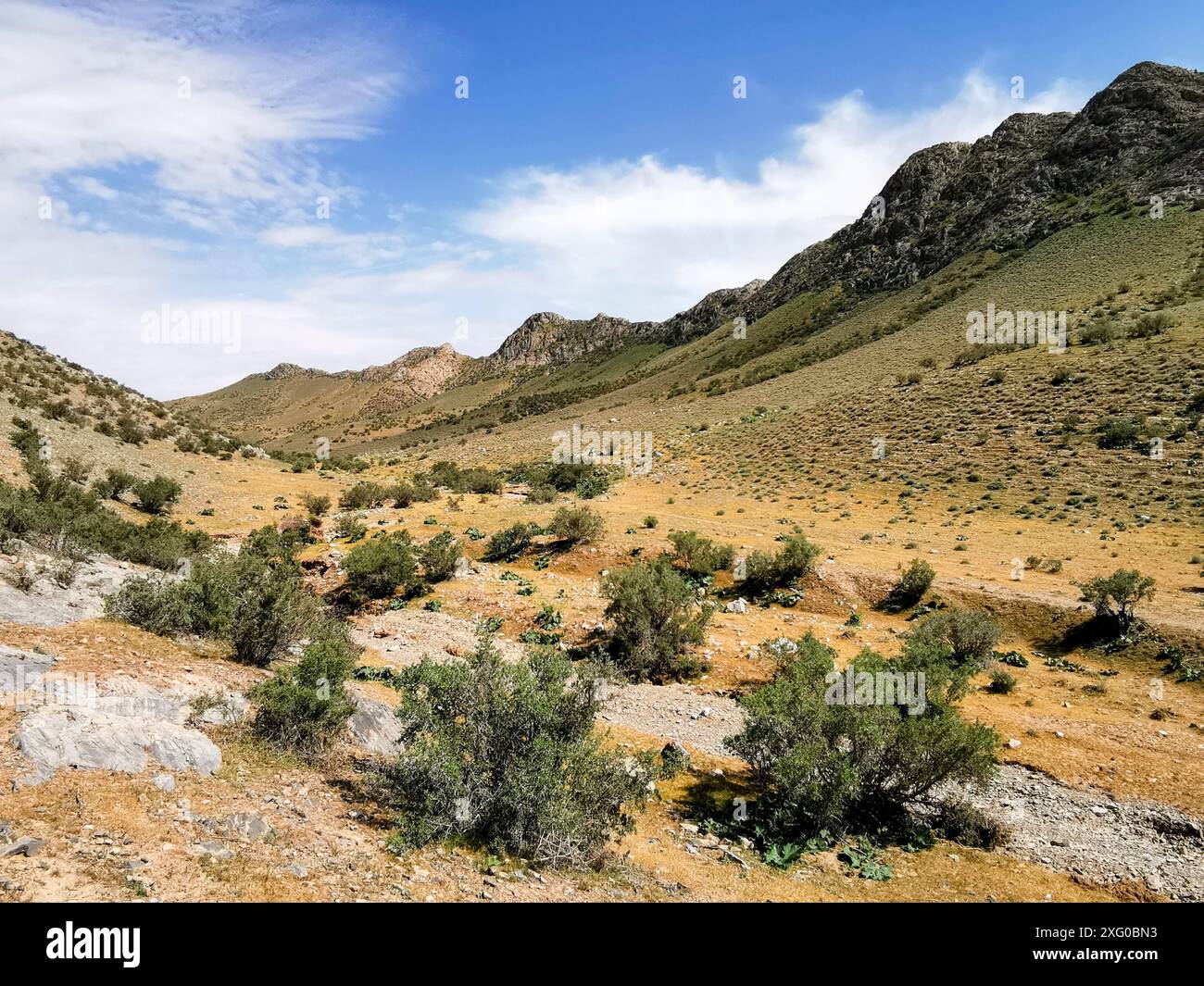 High-altitude bush steppe landscape in a valley of the Qarrab mountains ...