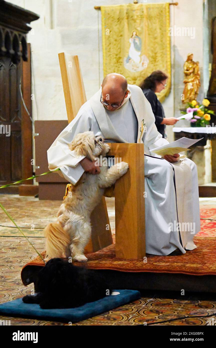 Blessing of pets - For 9 years, every first Sunday in October, priest ...