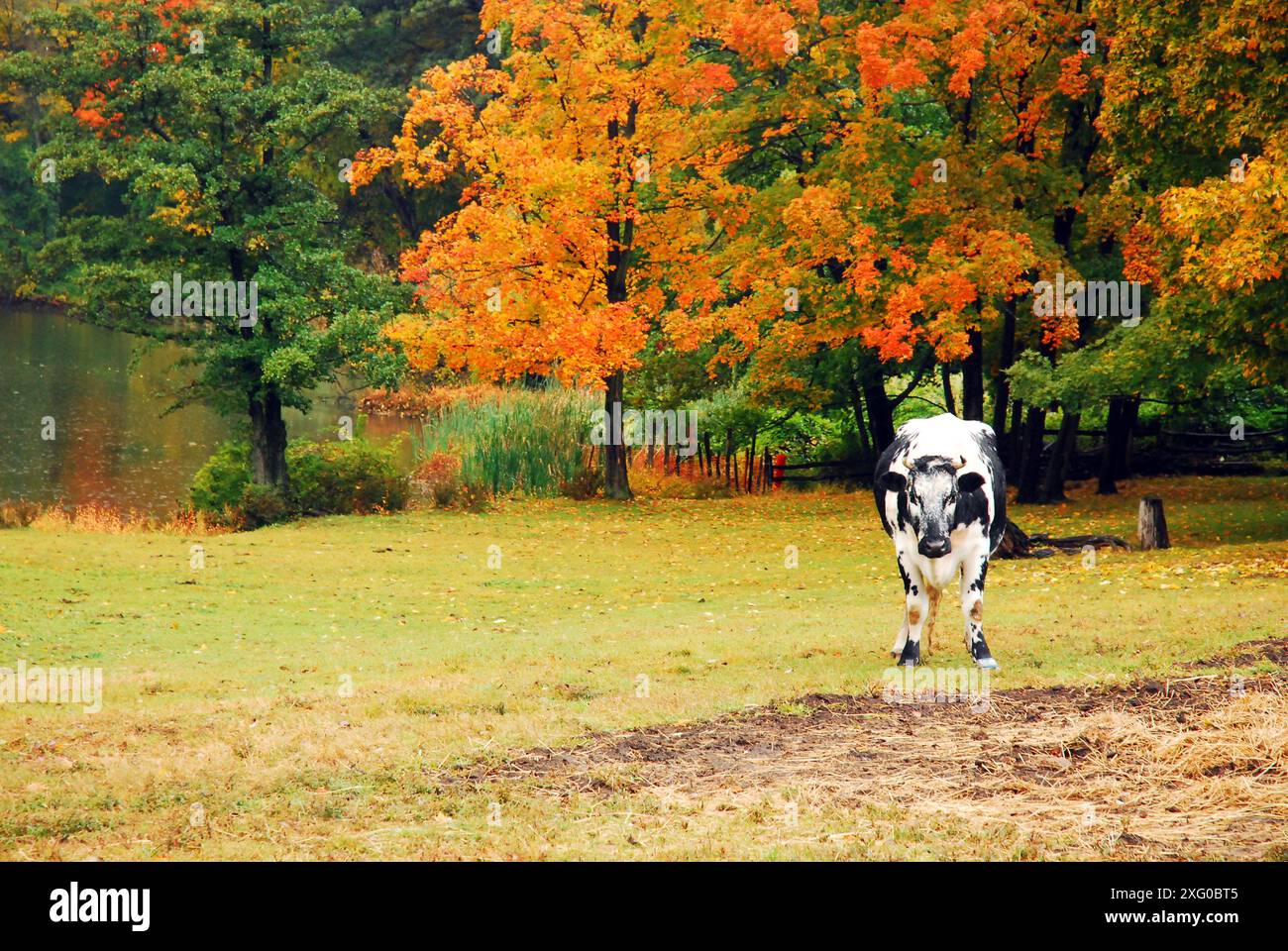 Sternly hi-res stock photography and images - Alamy