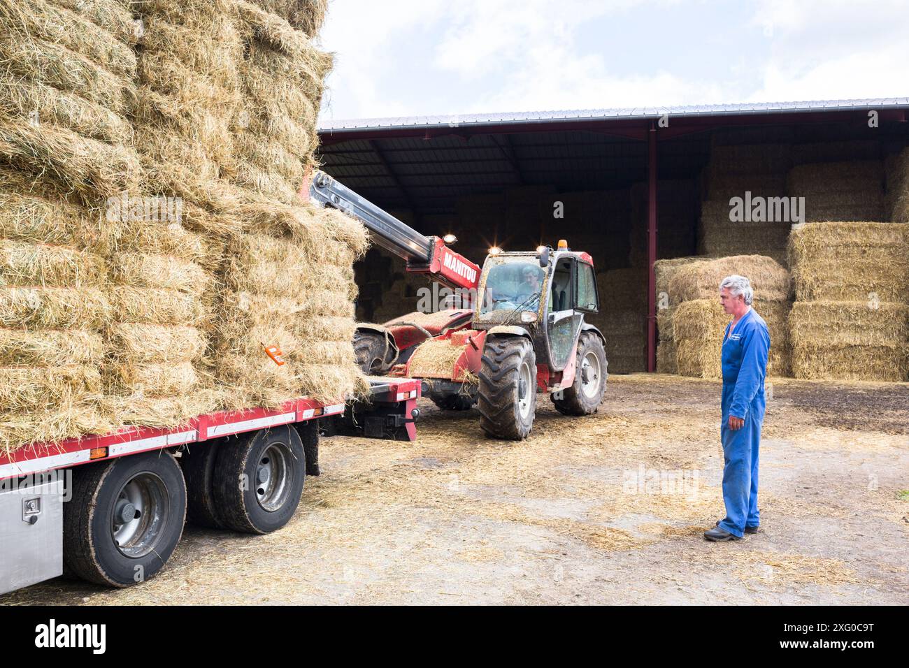 Farmer loading a truck with hay that he has baled into rectangular ...