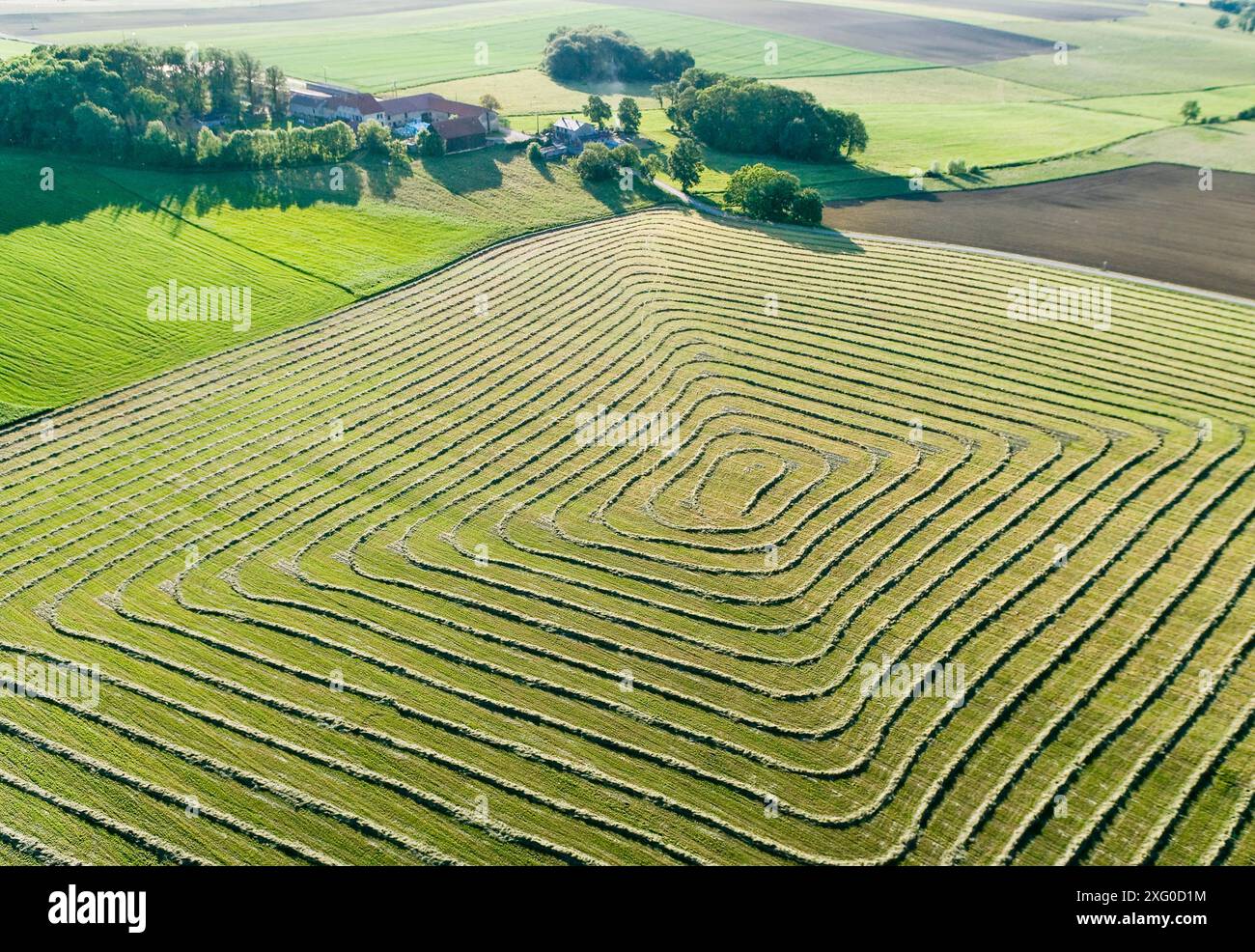 Aerial view of a plot with geometric shapes of grass swaths. Land art ...