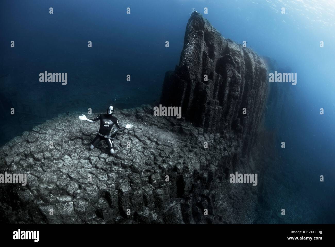 Volcanic underwater beds, Tenerife. The image shows the top of an ...