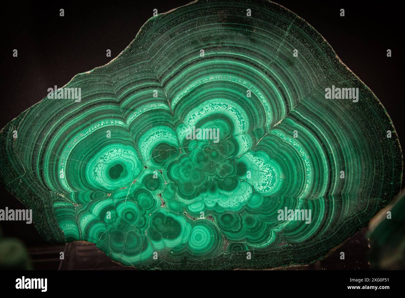 Abstract green background with circles and waves. Malachite stone ...