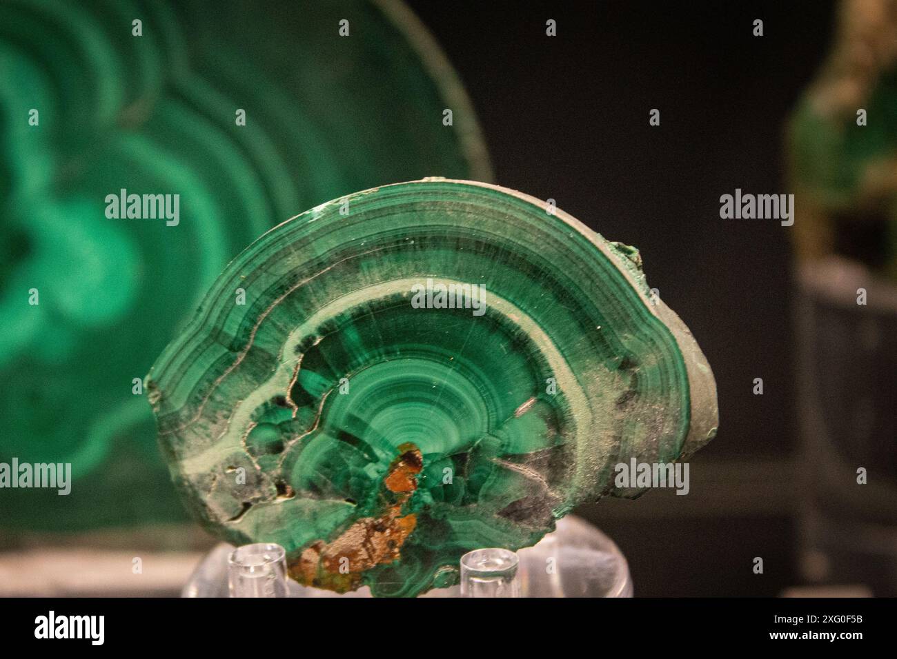 Abstract green background with circles and waves. Malachite stone close ...