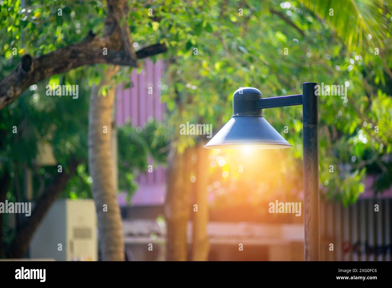 Lamp post in the garden with tree and green leaves background Stock ...