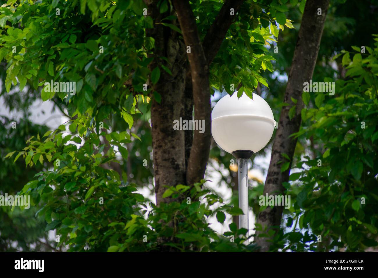 Lamp post in the garden with tree and green leaves background Stock ...