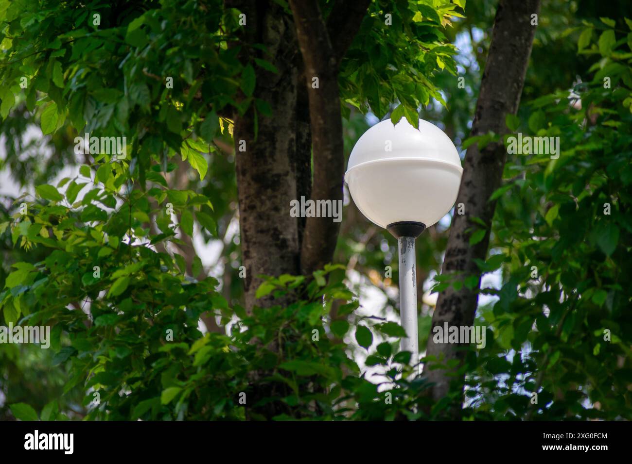 Lamp post in the garden with tree and green leaves background Stock ...