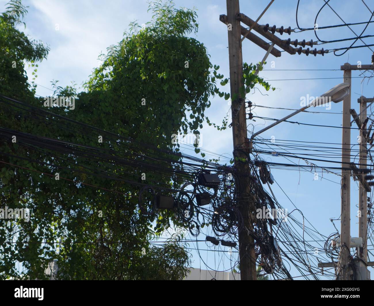 An electrical pole that shows the disorder in the arrangement of the ...