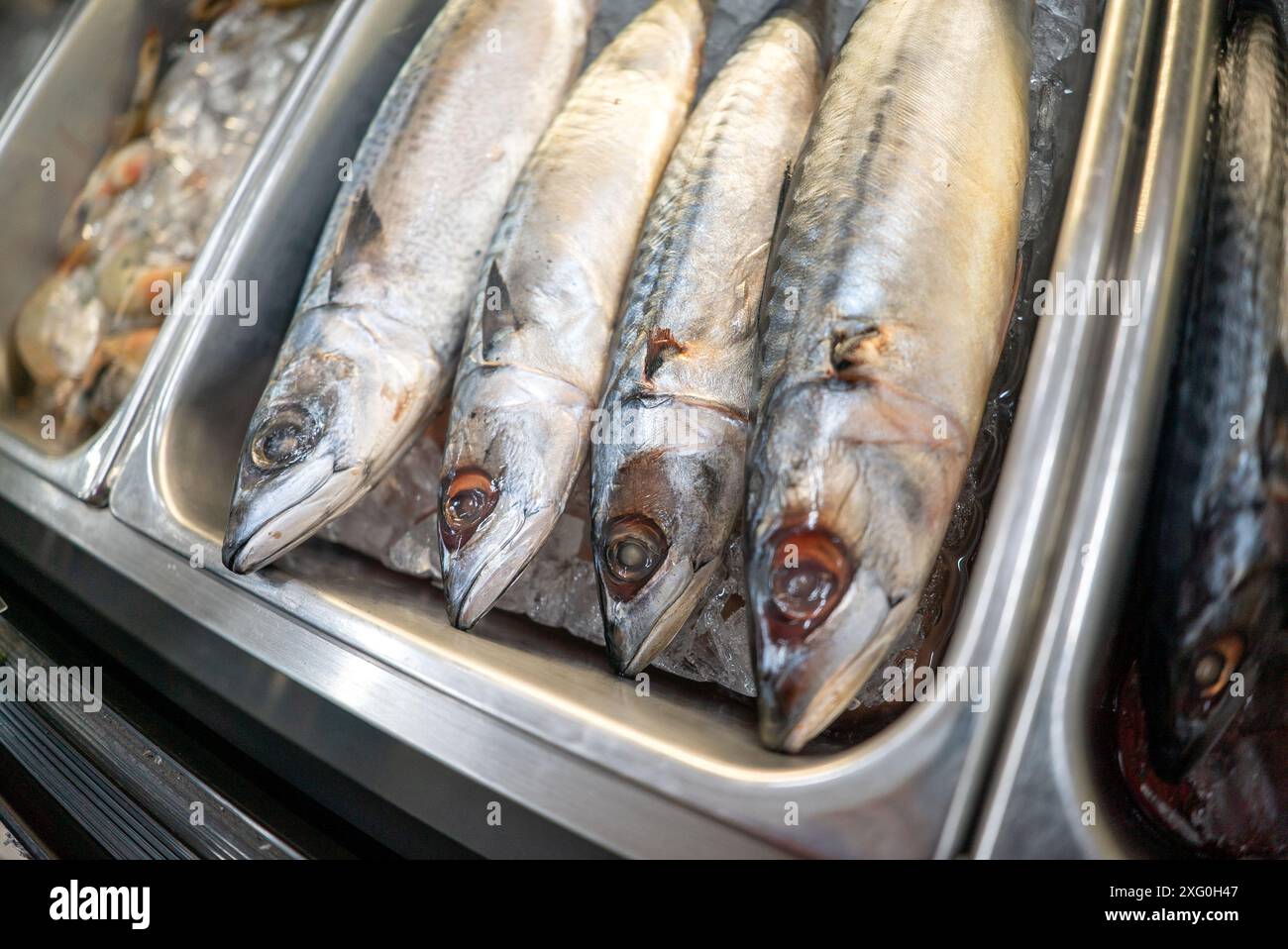 The saba fish, also known as mackerel, is showcased with tantalizing ...