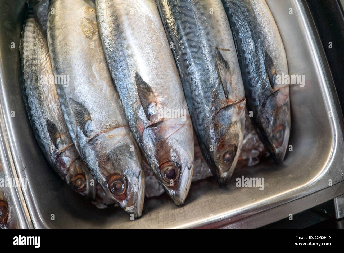 The saba fish, also known as mackerel, is showcased with tantalizing ...