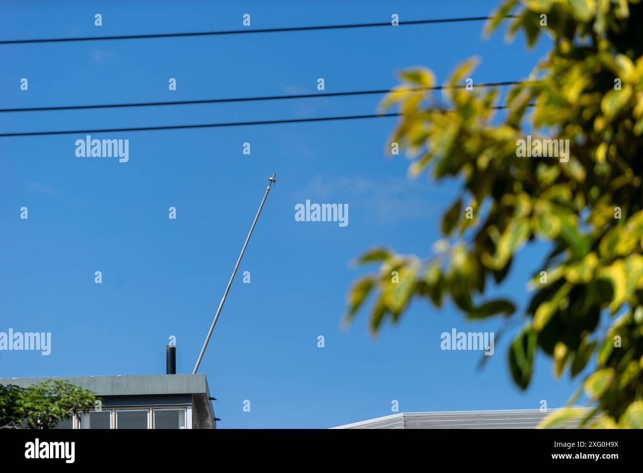 lightning rod for lightning protection Stock Photo - Alamy
