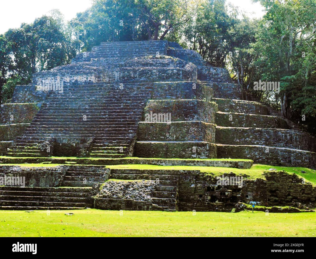 Mayan pyramid in Belize Stock Photo - Alamy