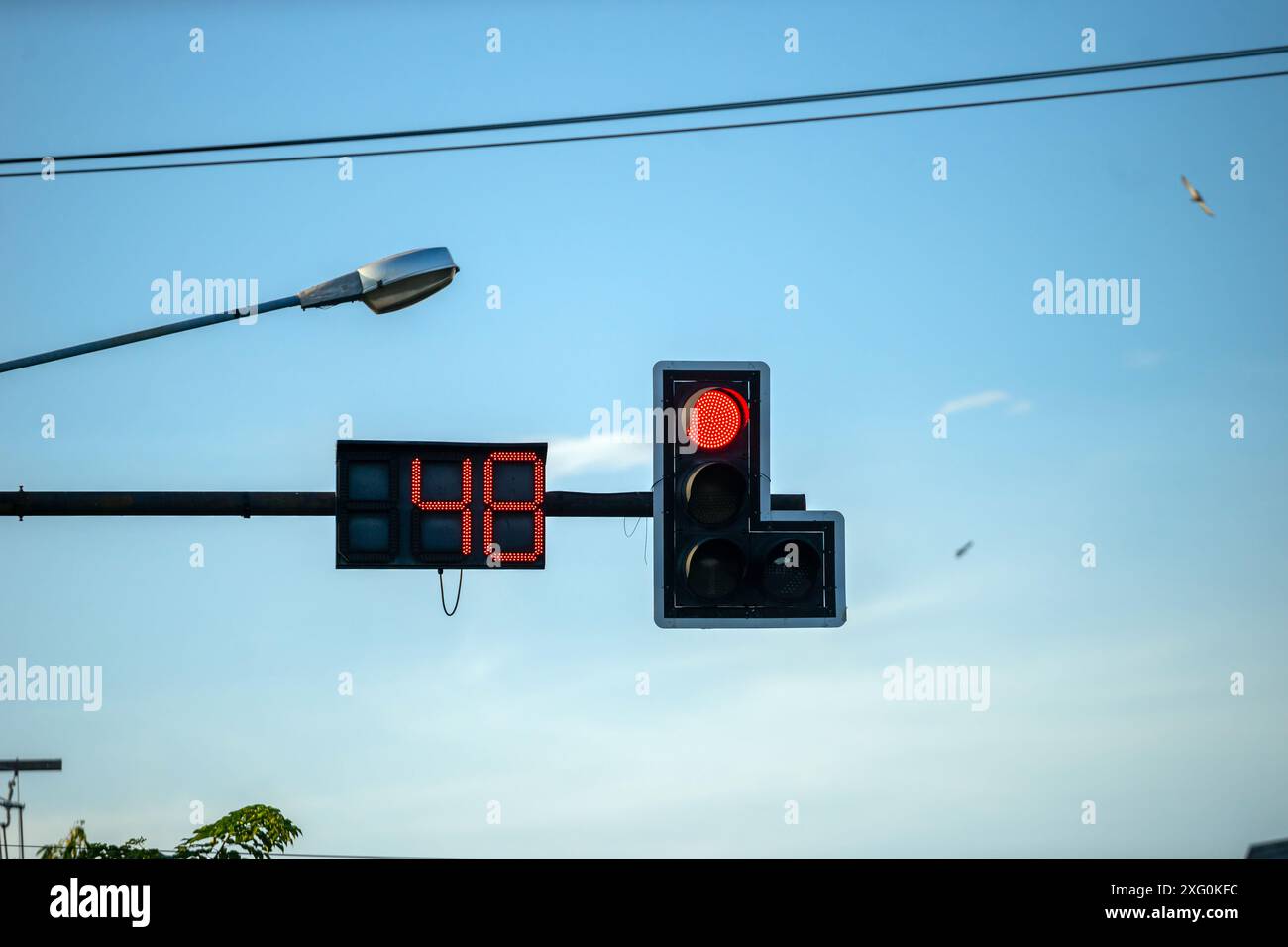 Traffic red light stop signal Stock Photo - Alamy