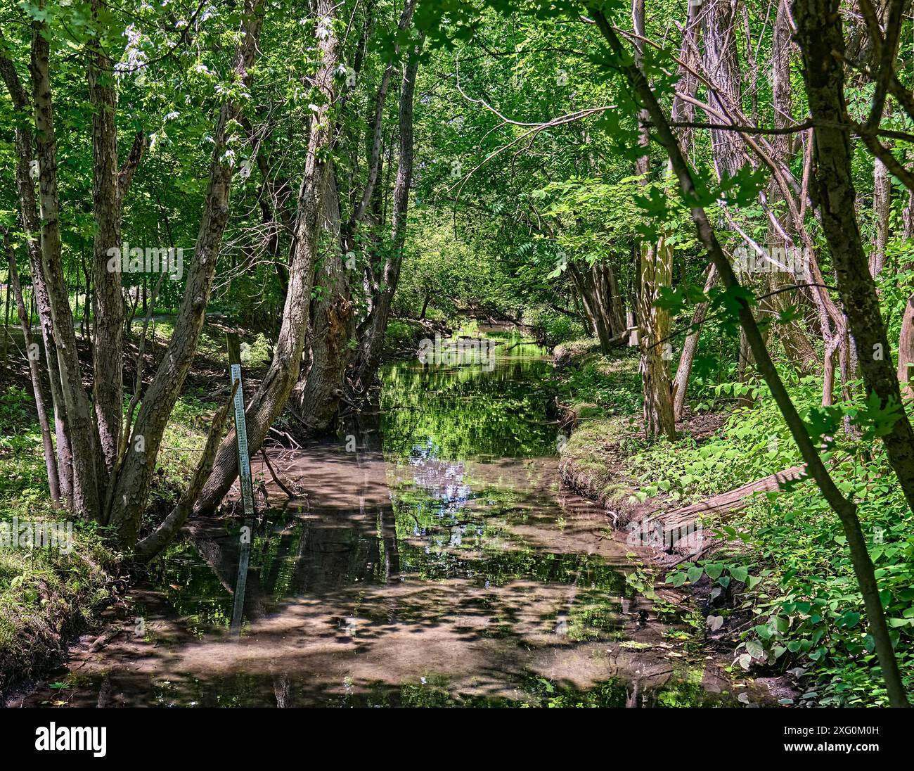 Teaneck Creek Conservancy in Teaneck,NJ,USA. A beautiful wetland scene ...