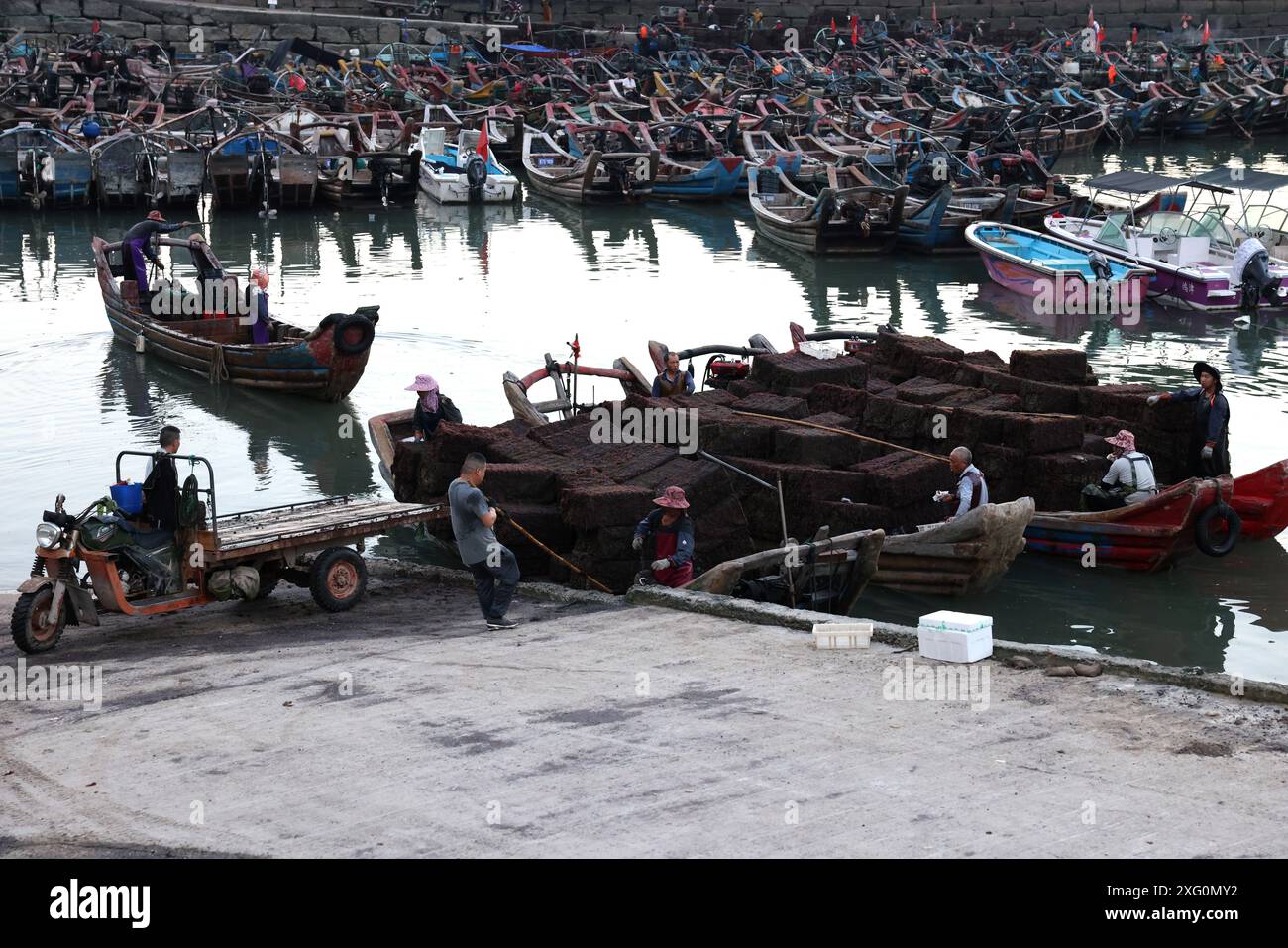 China fujian abalone hi-res stock photography and images - Alamy