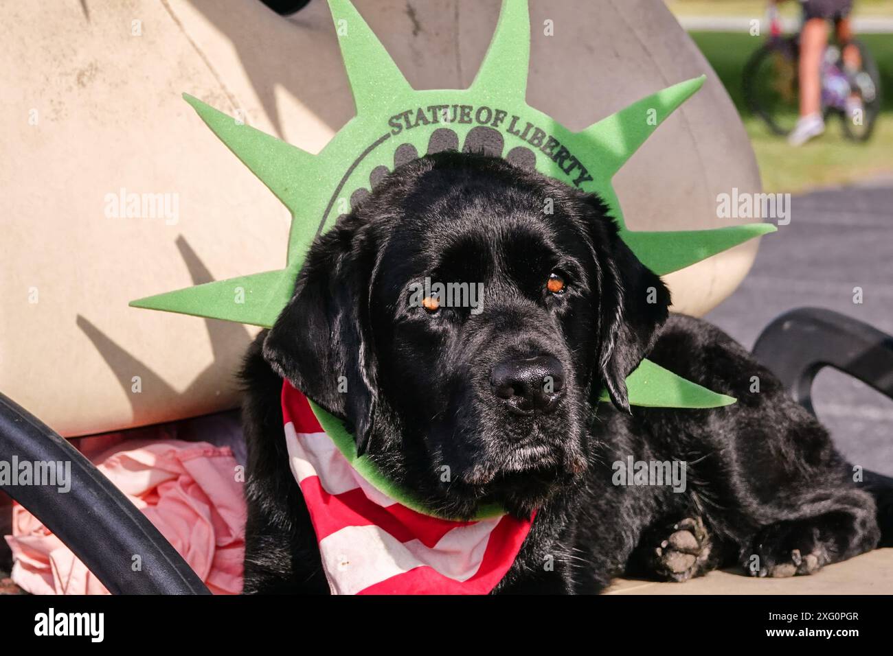 Sullivans Island, United States of America. 04 July, 2024. A black ...