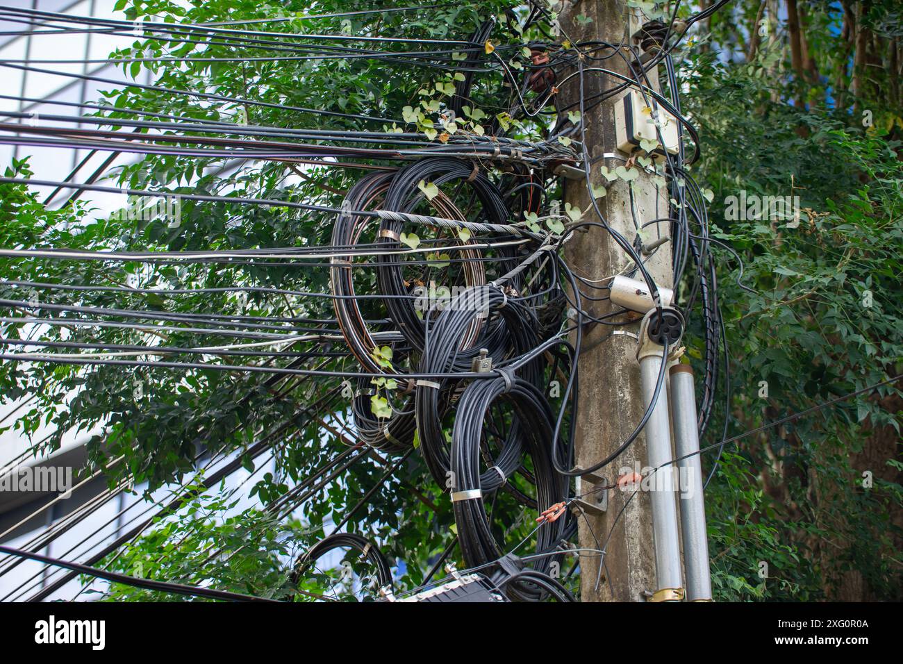 An electrical pole that shows the disorder in the arrangement of the ...