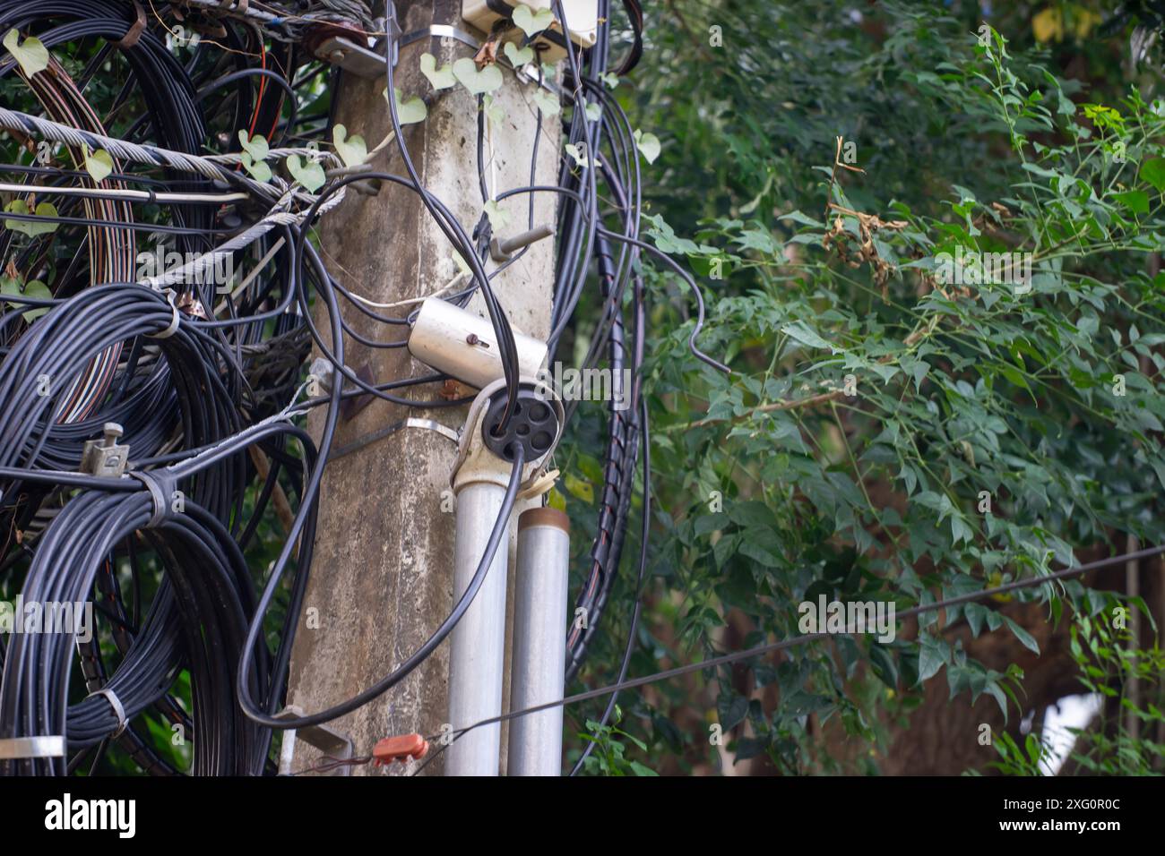 An electrical pole that shows the disorder in the arrangement of the ...