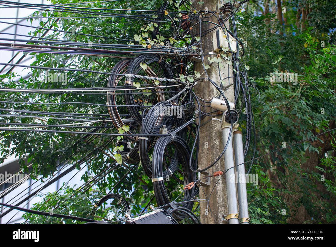 An electrical pole that shows the disorder in the arrangement of the ...