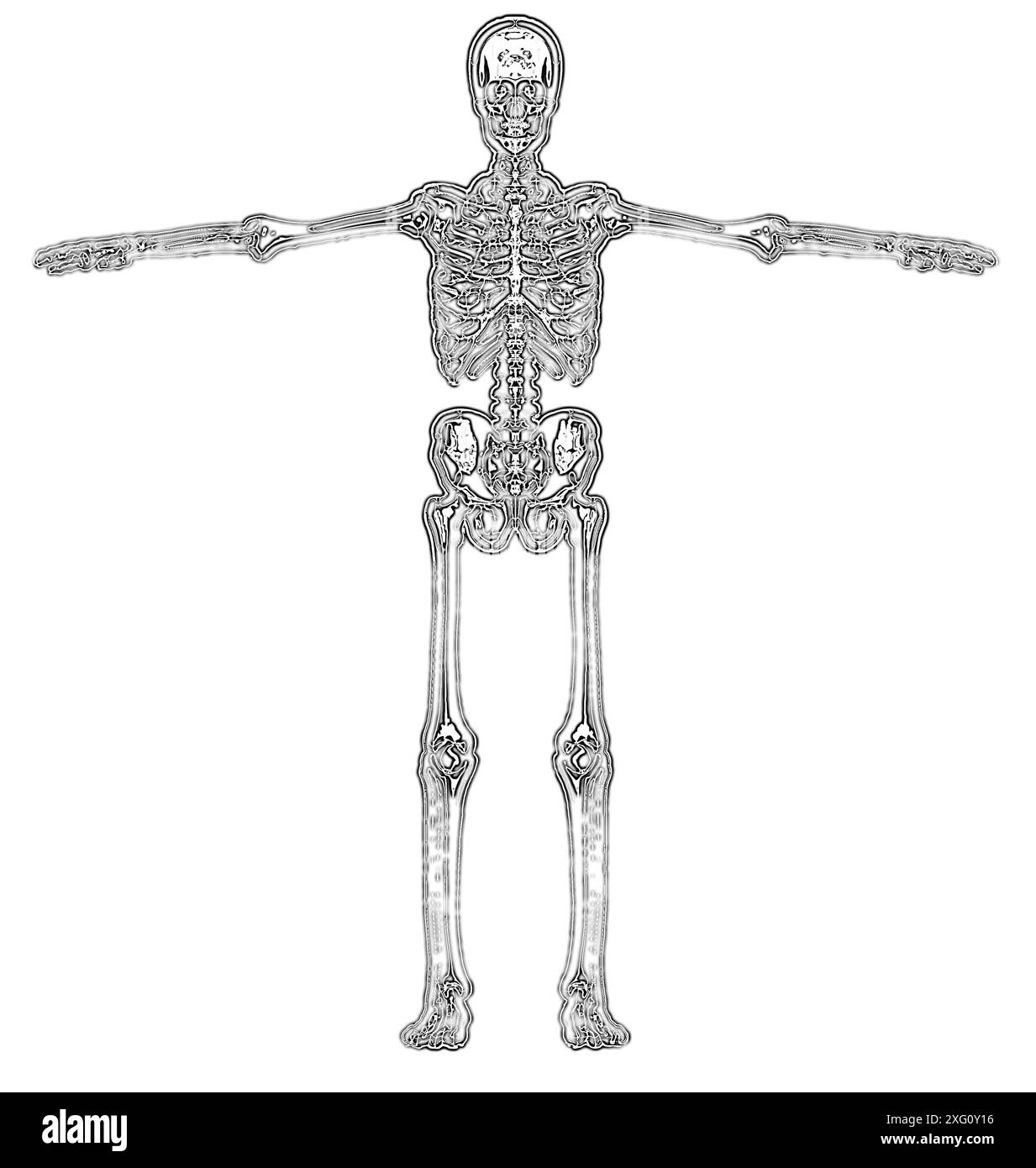 Building skeleton Black and White Stock Photos & Images - Alamy