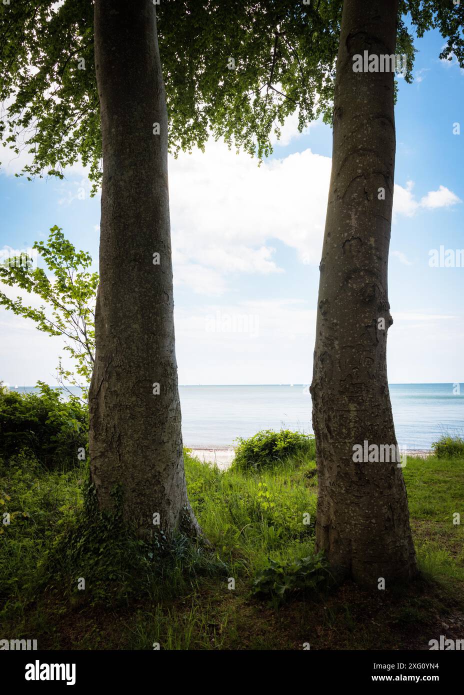 Seashore trail hi-res stock photography and images - Alamy