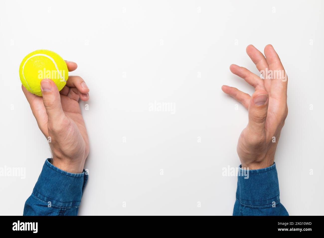 The hand holds a tennis ball on a white background, the movement of the ...