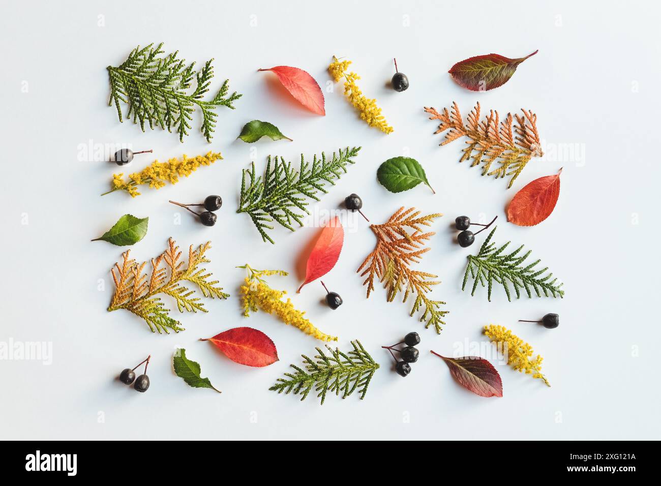 Flat autumn design hi-res stock photography and images - Alamy