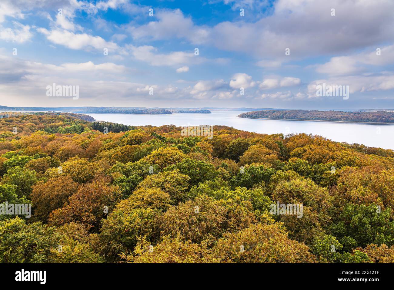 Autumnal forests on the island of Ruegen Stock Photo - Alamy