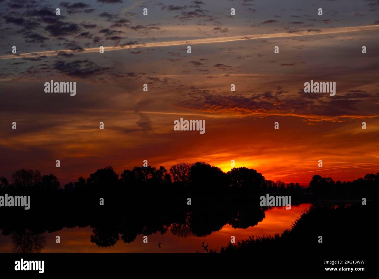 Autumn bird flock foliage hi-res stock photography and images - Alamy