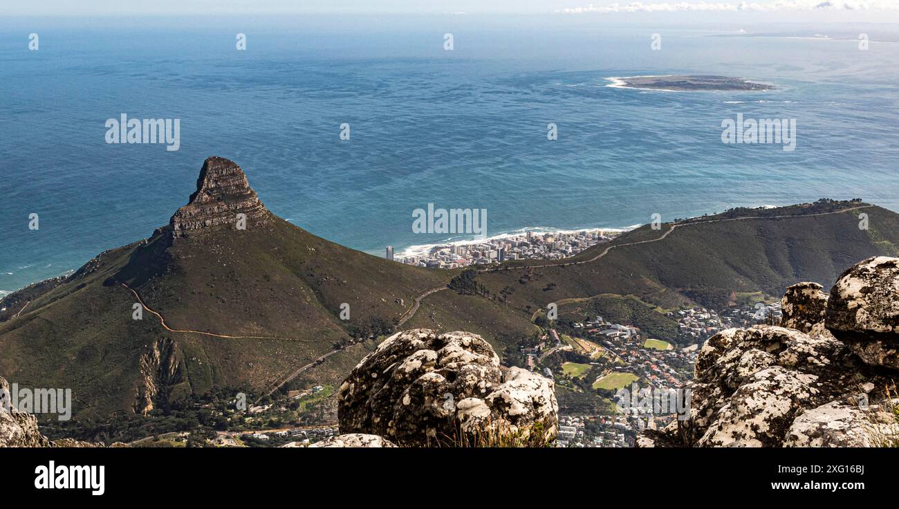 Lions head view hi-res stock photography and images - Alamy