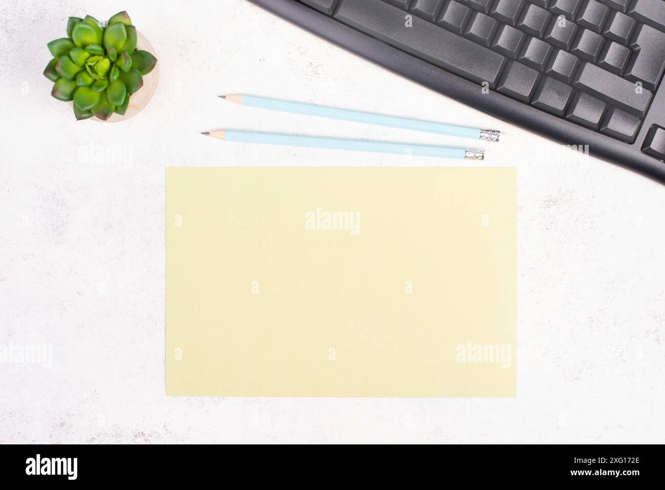 Empty paper with a pen, computer keyboard and a cactus, textured ...