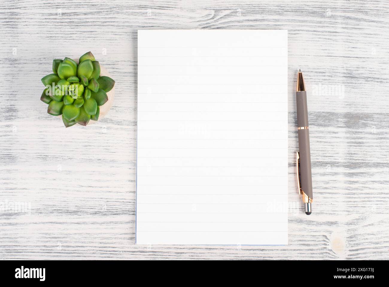 Empty paper with a pen and a cactus textured background, brainstorming ...