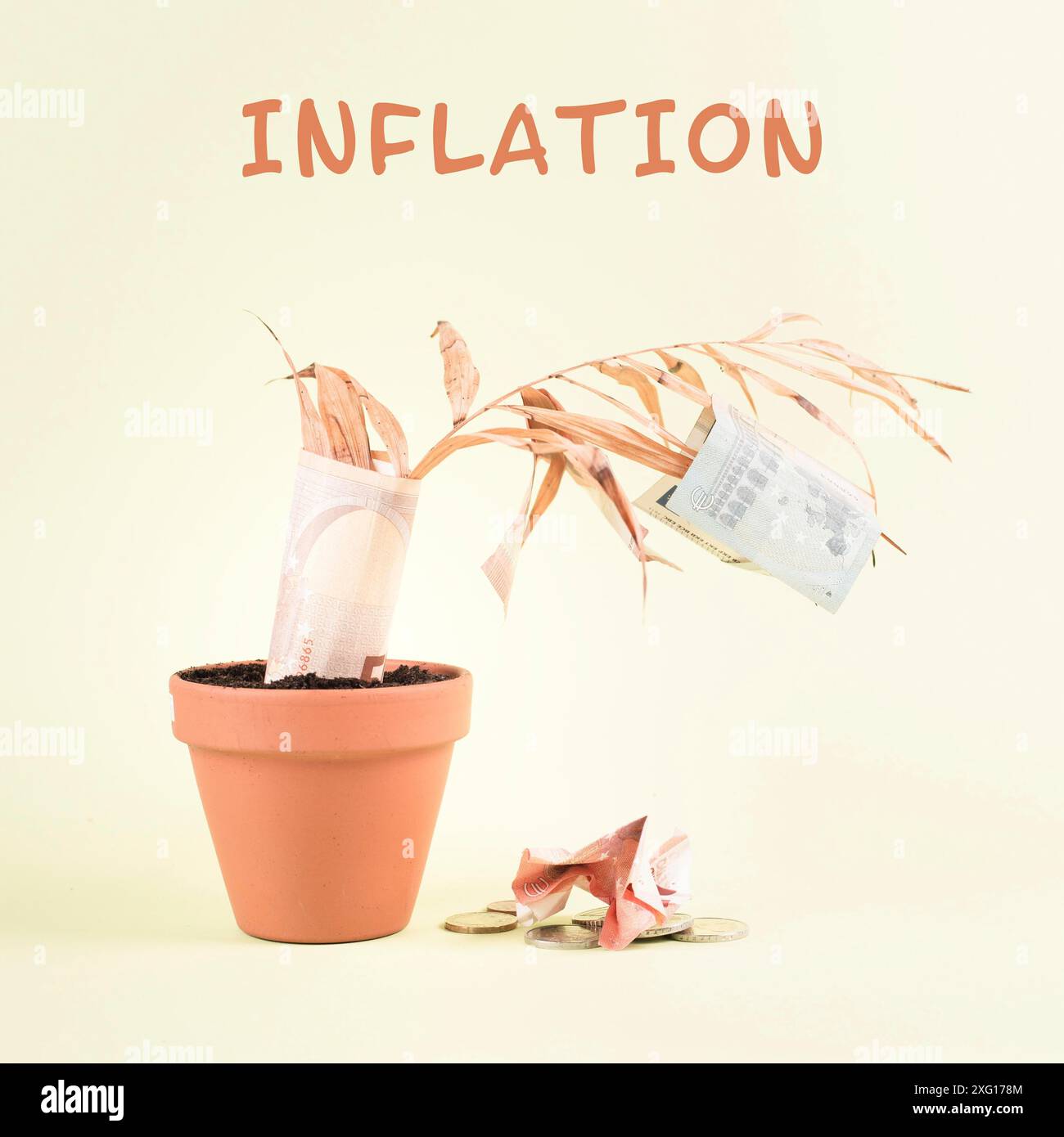 Withered plant in a pot with Euro banknotes falling from the leaves ...