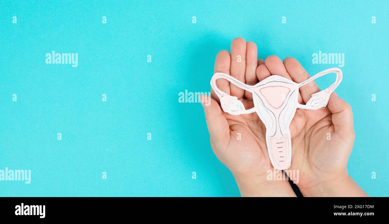 Female reproductive system hi-res stock photography and images - Alamy