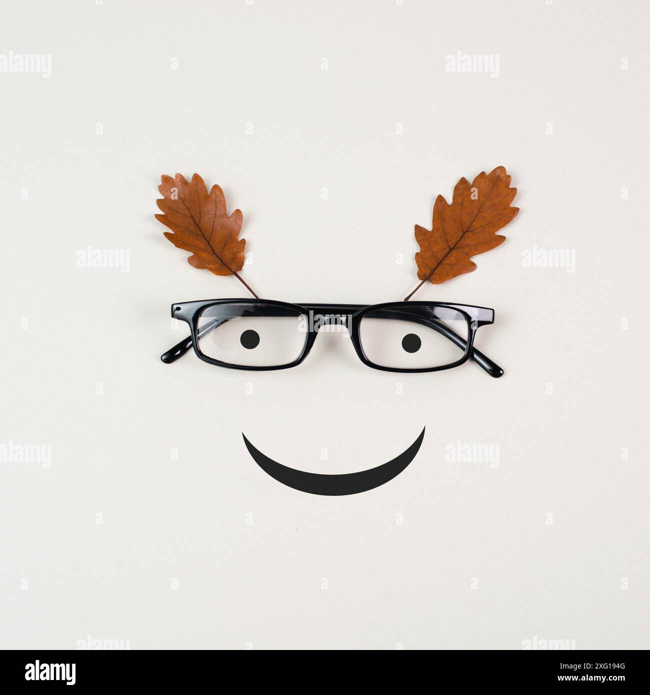 Head with a smiling face, eyeglasses and foliage, mental health concept ...
