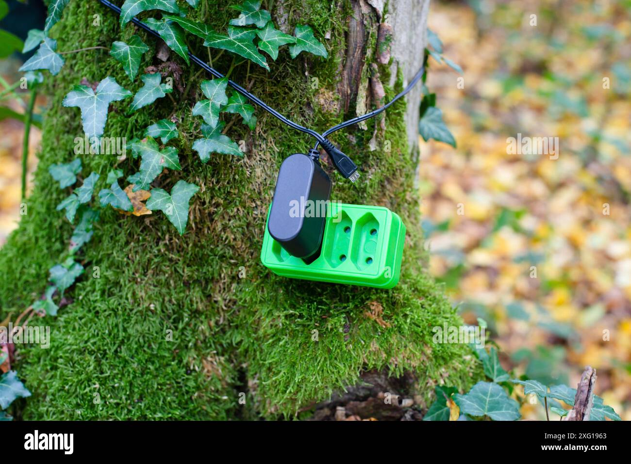 Green electricity socket on a tree trunk, substainable renewable energy ...
