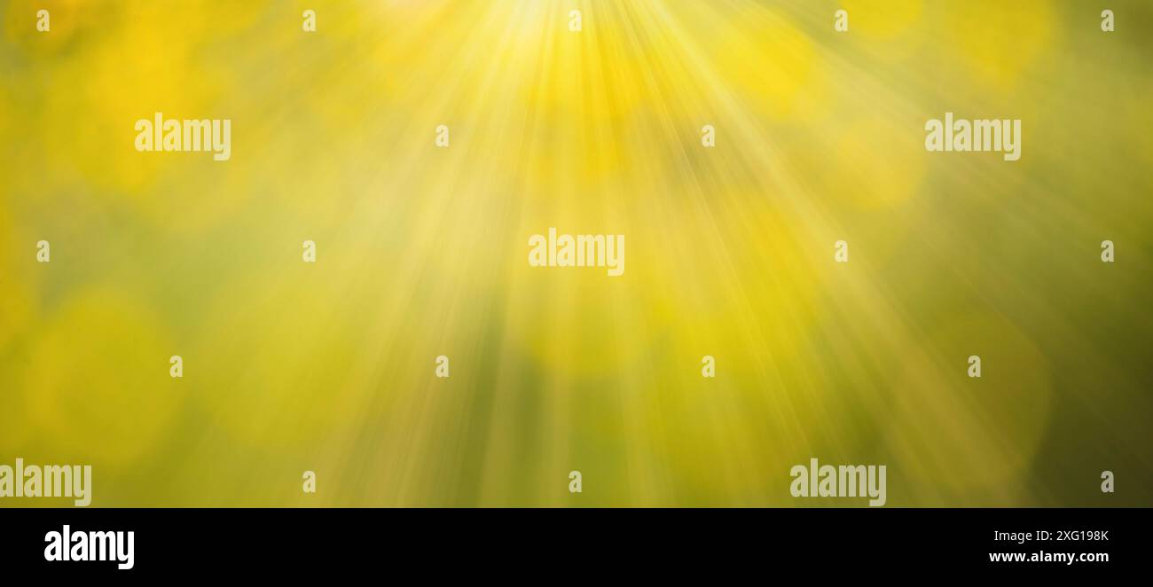 Yellow and green bokeh background, spring season, defocused fairy ...