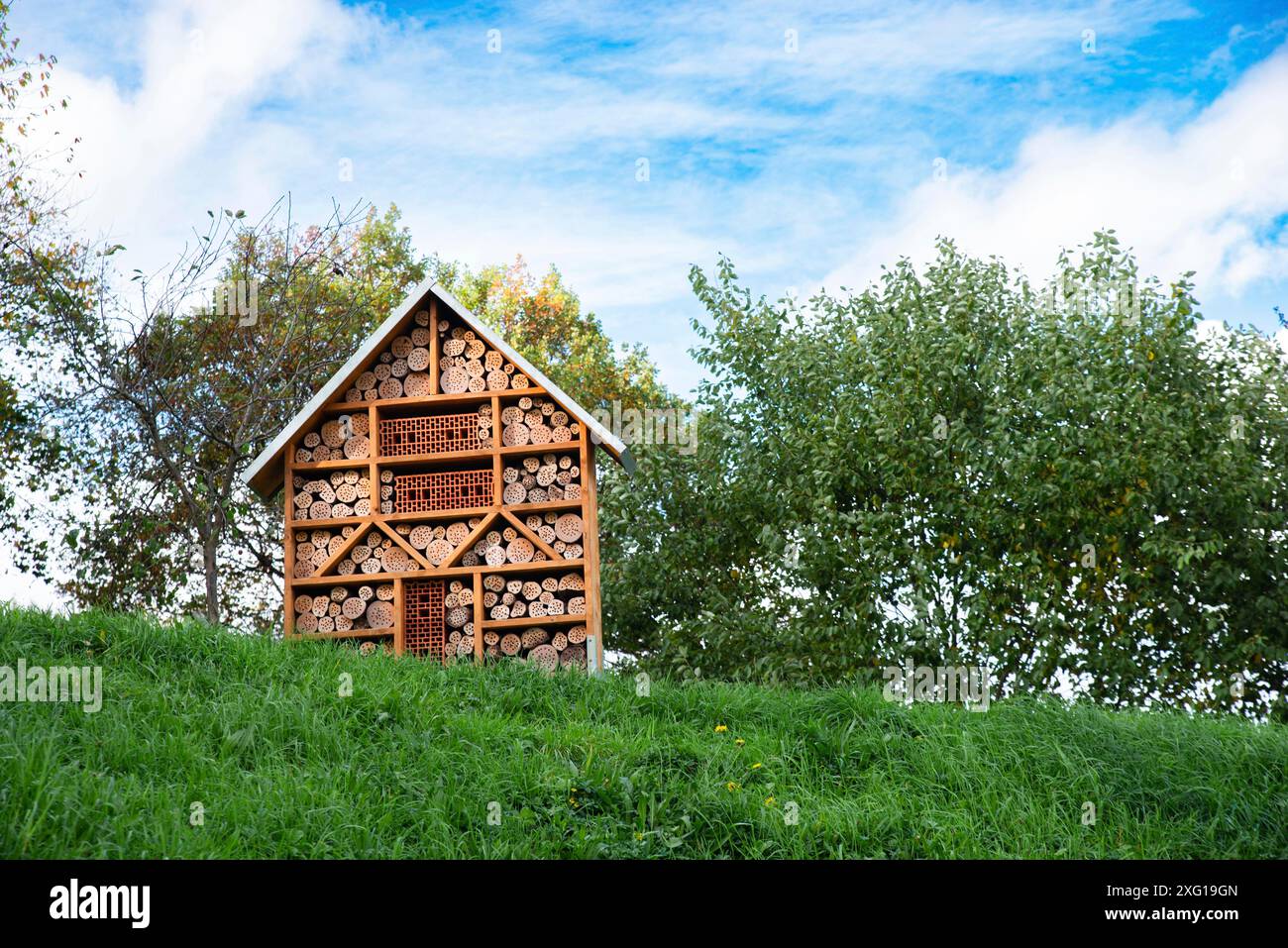 Wooden insect hotel, habitat for bugs and bees, rescue house ...