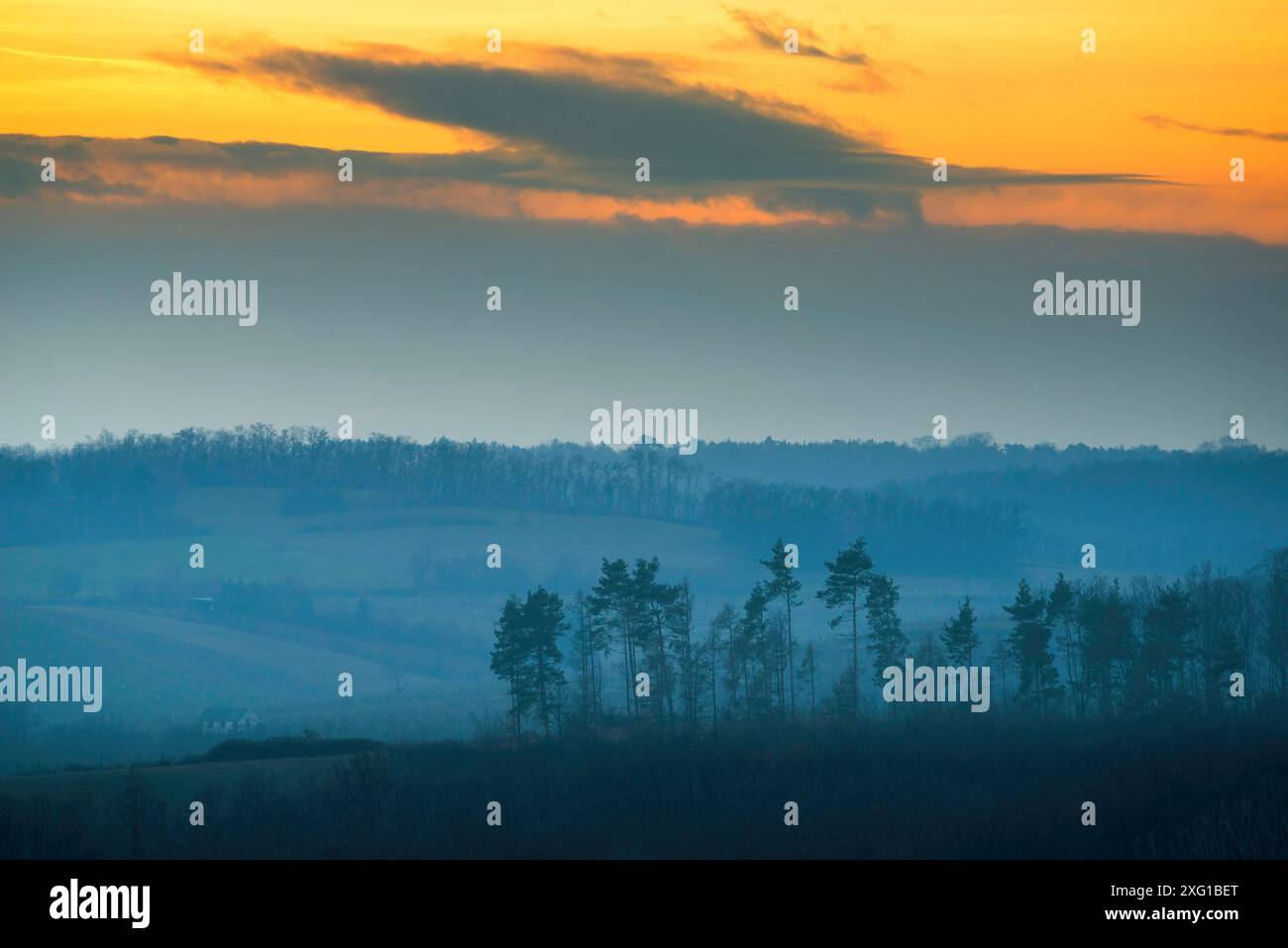 Sunset over the forest Stock Photo - Alamy
