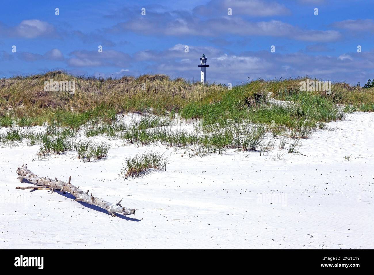 Sandy beach beach, dunes, lighthouse, Dueodde, Baltic Sea island ...