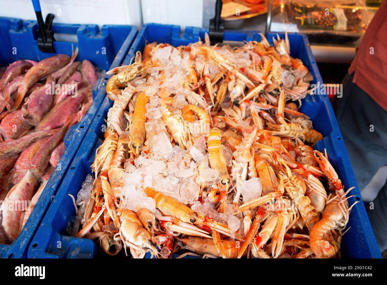 Netherlands groningen fish market hi-res stock photography and images ...