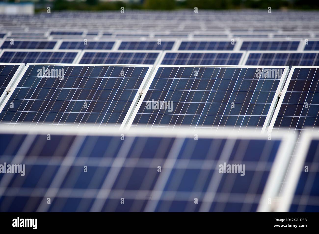 Darvari, Romania. 5th July, 2024: Inauguration by The Management ...