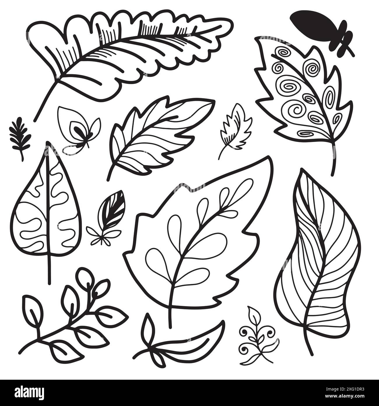hand drawn set leaves in doodle style. Natural elements with a line for ...