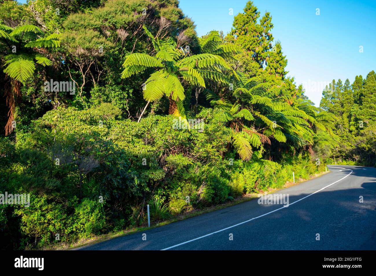 New Zealand State Highway 12 (Twin Coast Discovery Highway Stock Photo ...