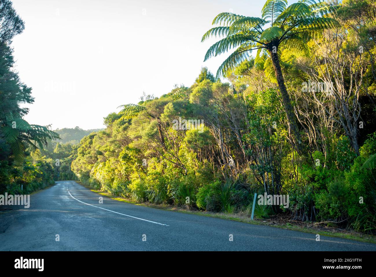 New Zealand State Highway 12 (Twin Coast Discovery Highway Stock Photo ...