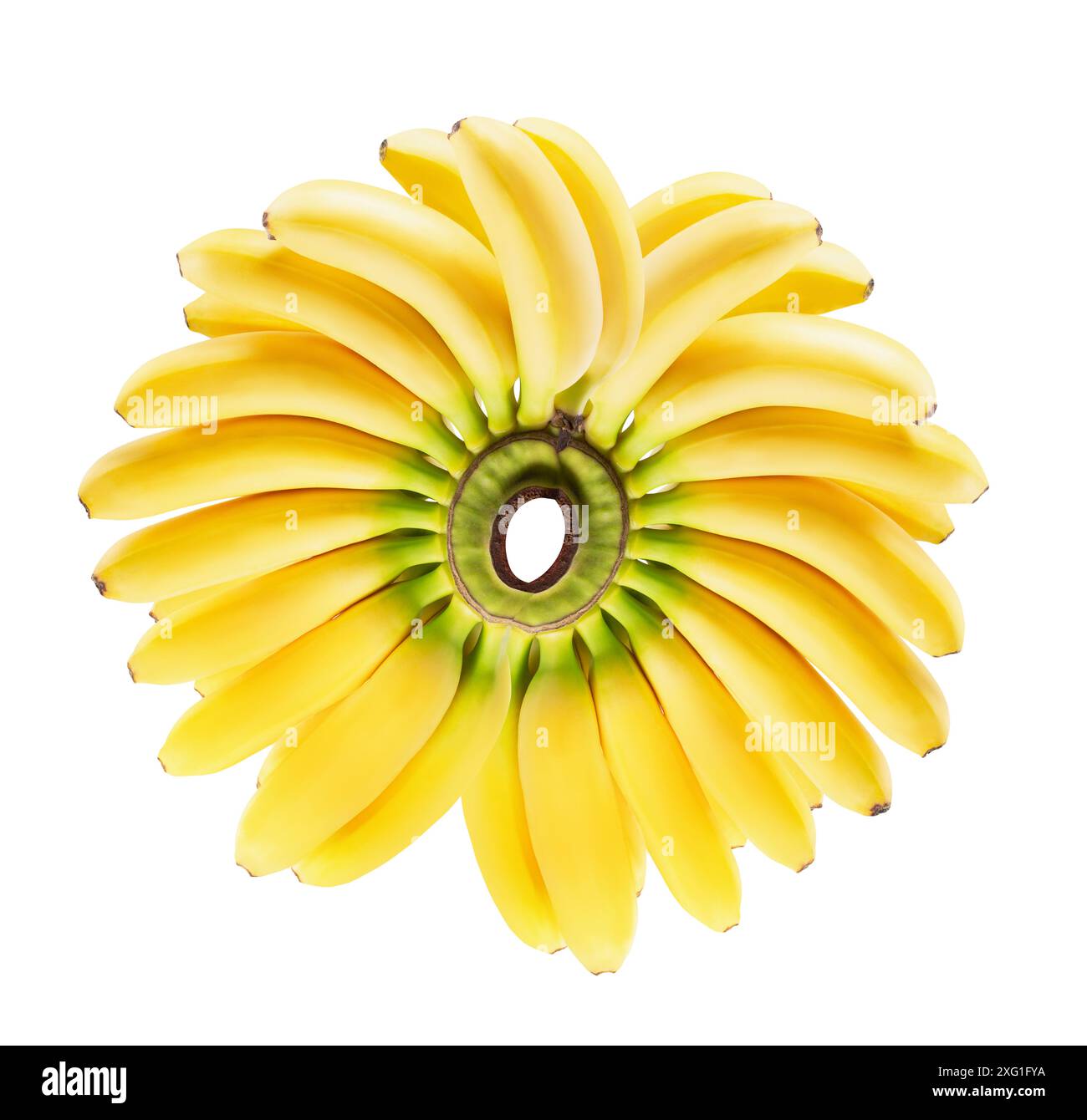 Big banana hi-res stock photography and images - Alamy