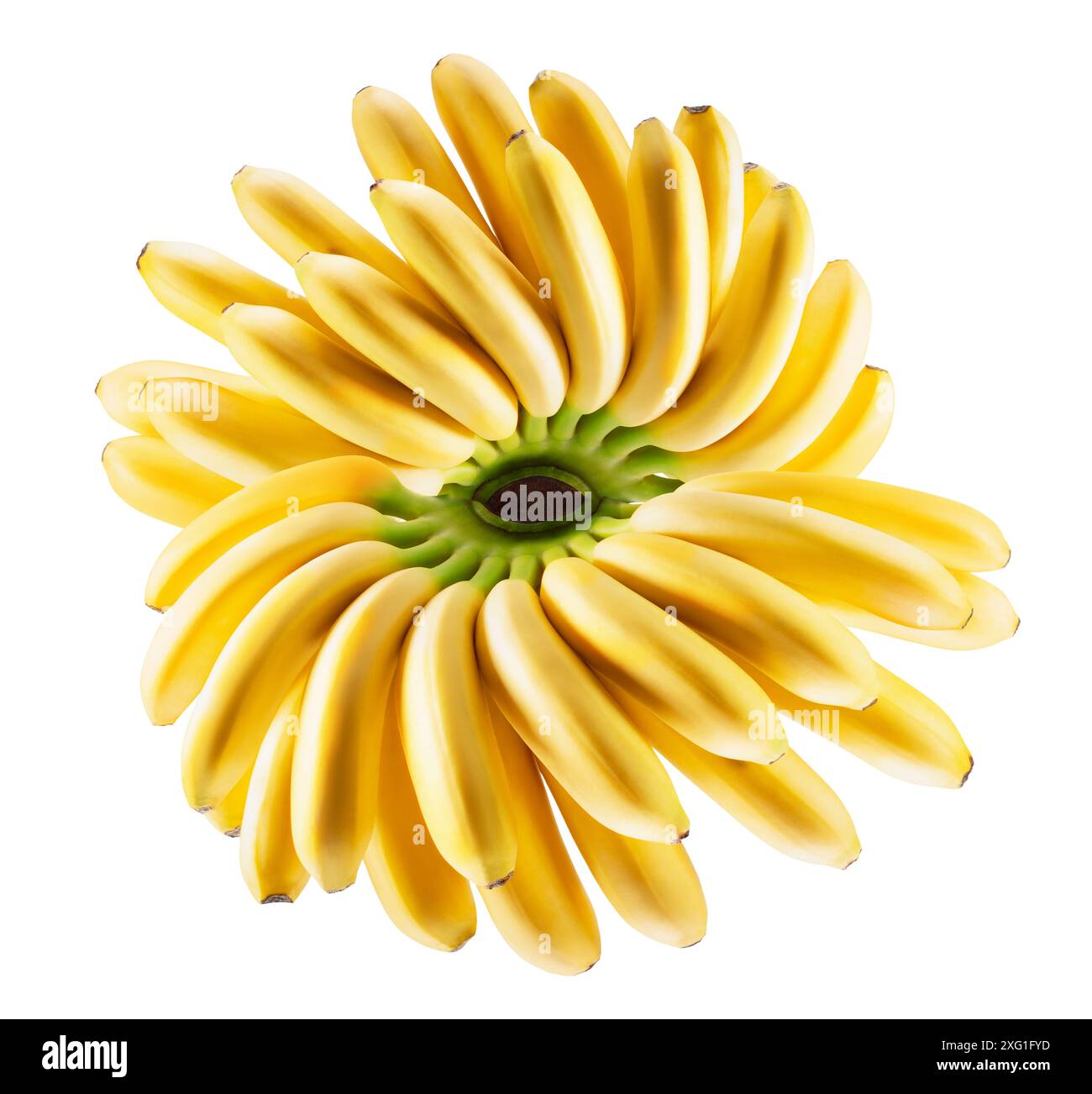 big banana branch isolated on a white background. Clipping path Stock ...