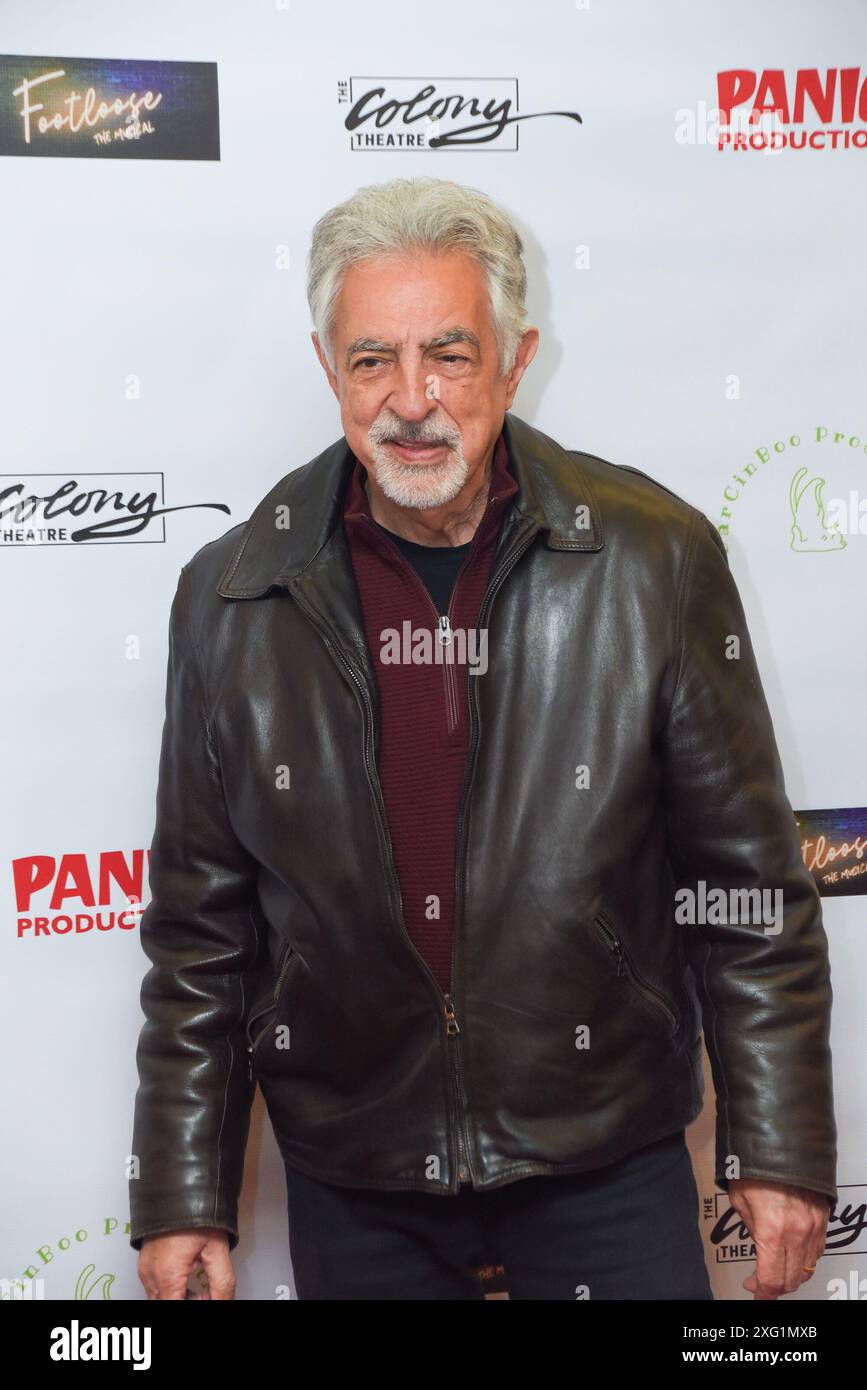 Joe mantegna 2024 hi-res stock photography and images - Alamy