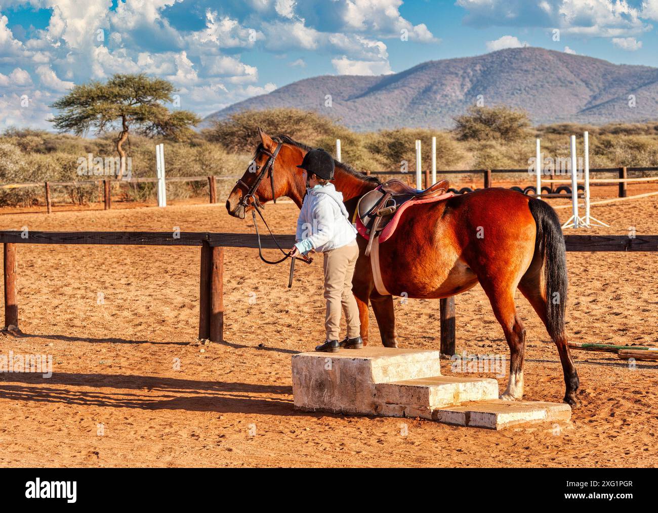 small girl on the steps lifting on a horse, black riding helmet, sunny ...