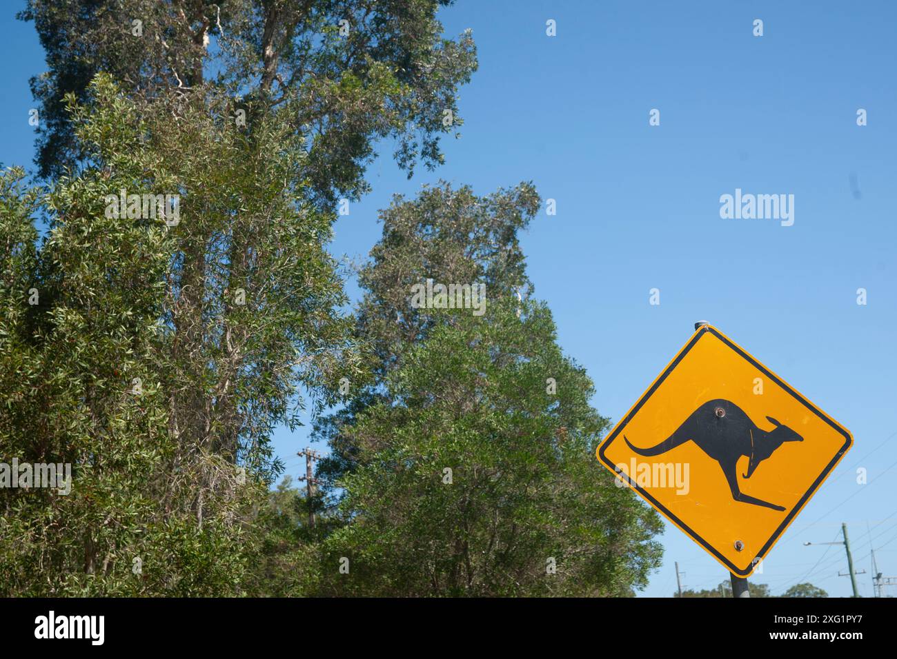 Yellow and black roadside warning sign with kangaroo silhouette with ...